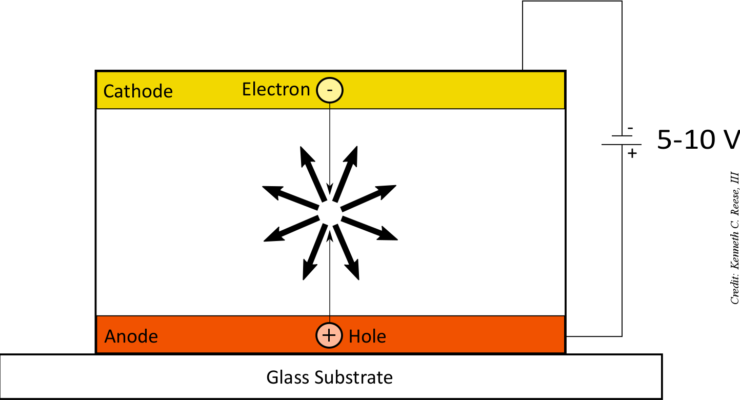 Display options for MCUs: LCD, LED, and OLED