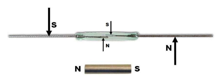 Magnetic Reed switch: an amazing addition to your design toolbox