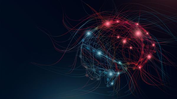 Low-power embedded RISC-V processor cores optimized for customization