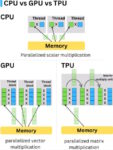 What’s the difference between GPUs and TPUs for AI processing?